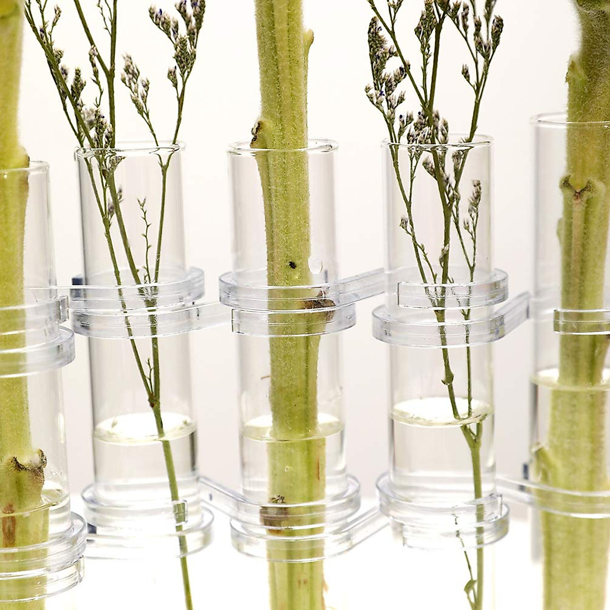 DOITOOL 8Pcs Test Tube Vase Decorative Glass Vase Hinged Bud Test Tubes Vases Planter Arranging Container Hydroponic Holder Decor with Hooks and Brushes 18cm