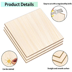 DIYDEC 18 Pack Basswood Sheets 6X 6 x 1/16 Inch Thin Plywood Wood Sheets Unfinished Wood Squares Boards Balsa Wood Sheets for Crafts Architectural Models Laser Cutting Wood Burning and Drawing