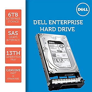 Dell 400-ALCR 6TB 7.2K SAS 12Gb/s 3.5-Inch Hard Drive in G13 Tray Bundle with Compatily Screwdriver Compatible with C5G97 NWCCG 400-AHFM 0NWCCG 8D1V4 PRNR6 400-AFNY 400-ANSC 400-AKMJ 400-AKKU