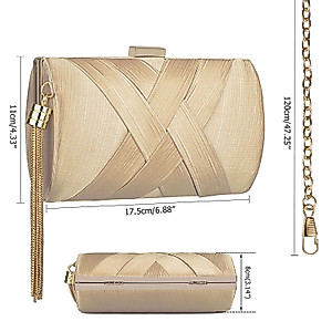 KISSCHIC Women's Elegant Tassel Evening Clutch Bag Stain Fabric Clutch Purse for Bride Wedding Prom Night Out Party (Gold)