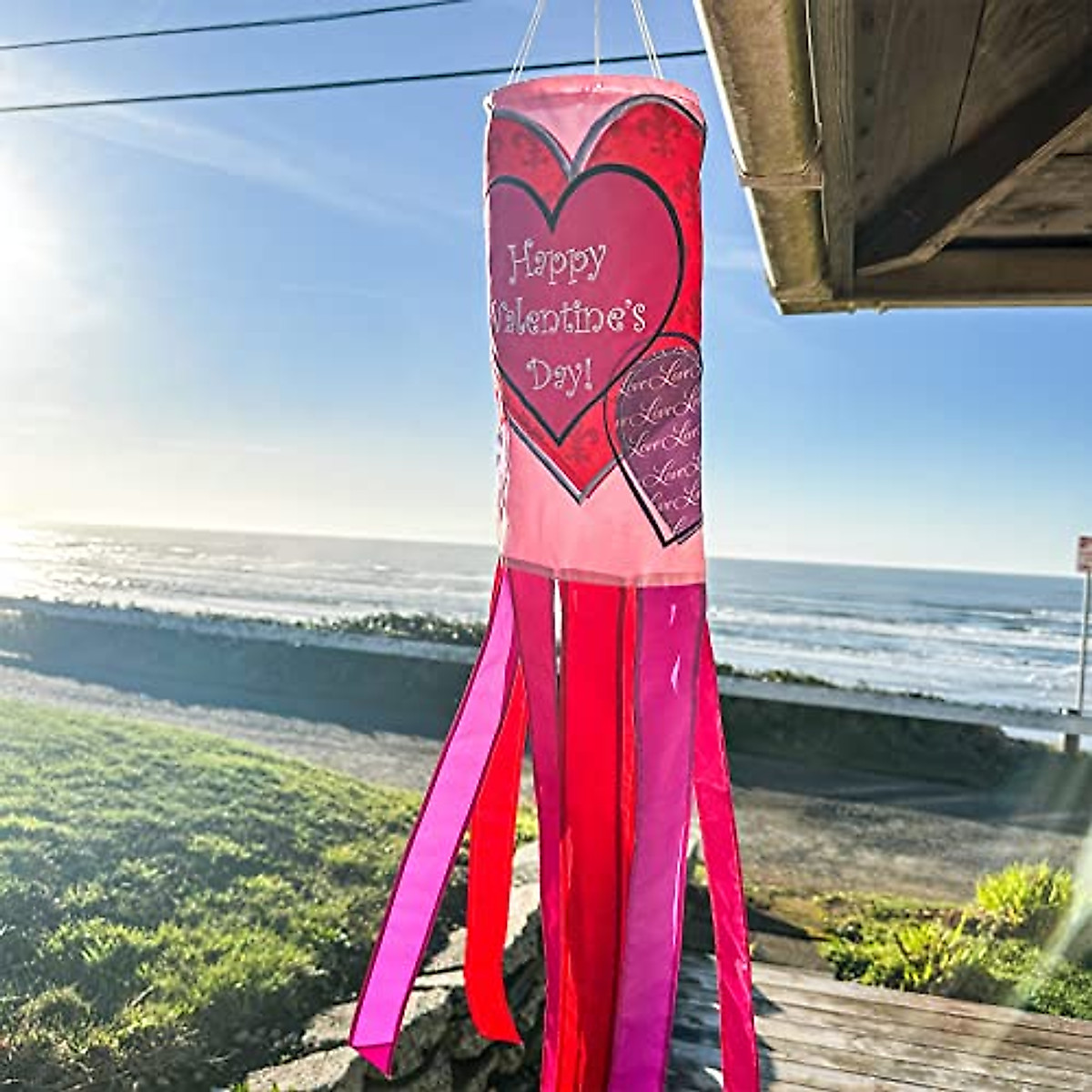 In the Breeze 5068 Valentine's Day Windsock, 40-Inch,