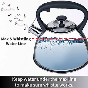 ARC, 346, 3.2 Quart / 3L Tea Kettle Food Grade with Heat Resistance Handle, Stainless Steel Teapot for Stovetop, Anti-Rust and Loud Whistling (3L - Black durable color 3)