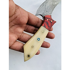 NUSHBA 017 Handmade Fixed Blade Hunting Skinner Knife, Damascus Steel Blade, Camal Bone Handle -Best Hunting Knife with Cow Brown Leather Sheath