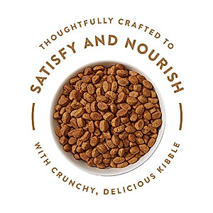 NUTRO ULTRA Adult Large Breed High Protein Natural Dry Dog Food with a Trio of Proteins from Chicken Lamb and Salmon, 30 lb. Bag