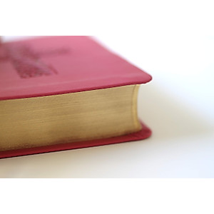 Biblia Católica en español. Símil piel fucsia, tamaño compacto / Catholic Bible. Spanish-Language, Leathersoft, Fucsia, Compact