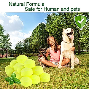 Jifeineng 15 Pack Snake Away Repellent Ball for Yard Powerful Pet Children Safe Outdoor Use Snake Be Gone
