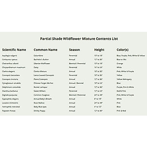 Seed Needs, 15,000+ Partial Shade Wildflower Seed Mixture for Planting (99% Pure Live Seed Butterfly Attracting - NO Filler) Annual Perennial Biennial - Bulk