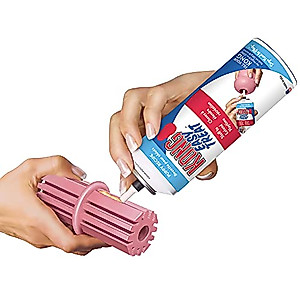 KONG - Puppy Teething Stick - Teeth Cleaning Dog Chew Toy (Assorted Colors) - for Medium Puppies