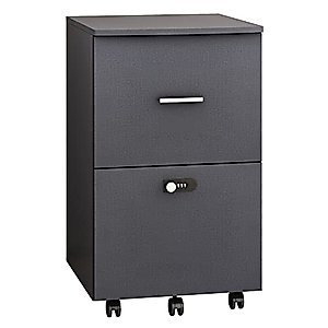 WelFurGeer File Cabinet for Home Office, 2 Drawer Filing Cabinet with Coded Lock, Mobile File Cabinets for Legal/Letter/A4 File, Black