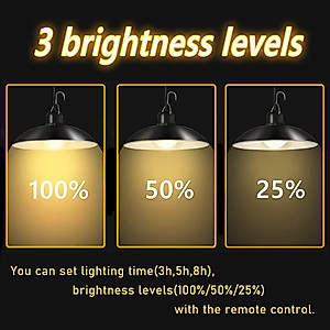 Aolyty Solar Pendant Light with Remote Control Dimmable Shed Light Waterproof Solar Powered Hanging Wall Light for Garden Yard Corridor Walkway Pathway Garage Driveway (Warm Light)