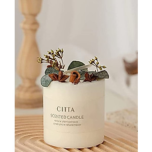 Christmas Pine Cone Flowers Scented Candles Soy Wax Aromatherapy Candle Romantic Pillar Candle Christmas Decorations For Home (Citrus Grape)