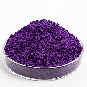 GOODTAKE Purple Iron Oxide, Concrete Pigments for Artistic and Decorative Painting, Cement Dye for Concrete, Clay, Lime, Tile, Mortar, Grout, Plaster, Masonry, Paint (Purple, 20 oz)