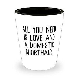 Unique Idea Domestic Shorthair Cat Shot Glass, All You Need is Love and a Domestic Shorthair., Brilliant for Friends, Birthday