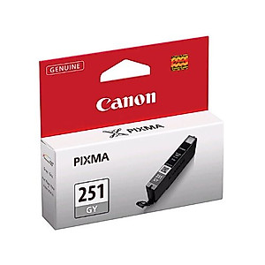 Canon PGI-250BK/CLI-251CMY Black/Color Ink Cartridges & PP-201 Paper Combo Pack and CLI-251 Gray Ink Tank (6517B001)