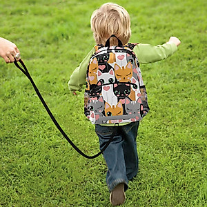 beeplus Lovely Cats Assembly Kids Backpack 13inch Little Kid Toddler Backpacks for Boys and Girls with Chest Strap