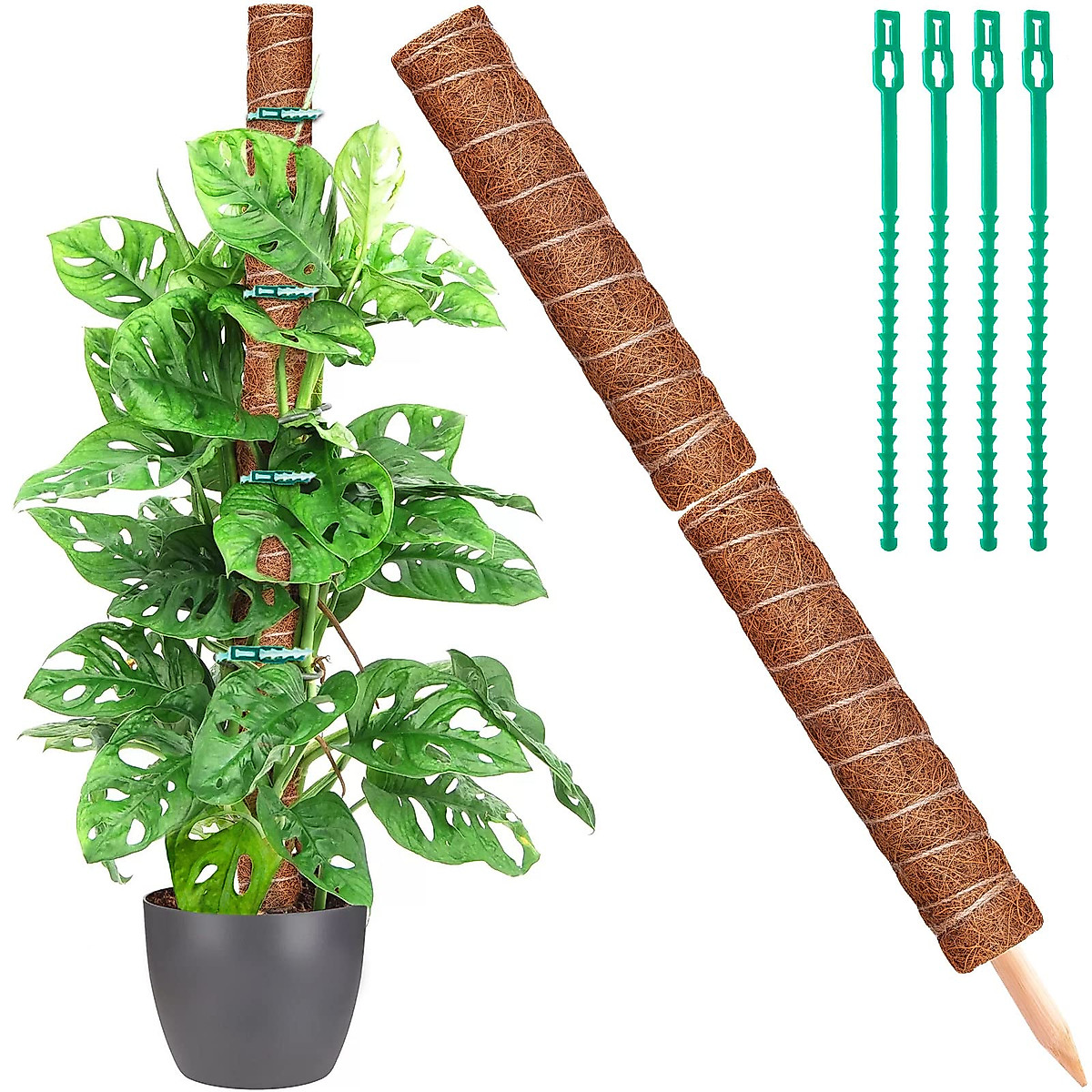 32IN Moss Pole, 2 Pack 16IN Moss Coir Totem Pole for Pothos, Moss Plant Stick, Indoor Plant Stake, Small Moss Pole for Monstera and Climbing Indoor Plants (4 Plant Wrap Ties Included)