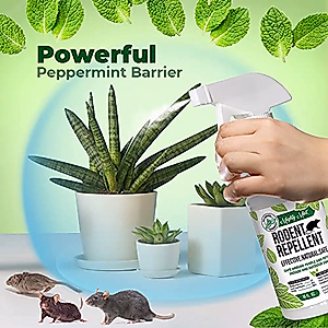 Mighty Mint 8 oz Peppermint Rodent Repellent Concentrate - Makes 1 Gallon - Natural Spray for Rats, Mice, and More