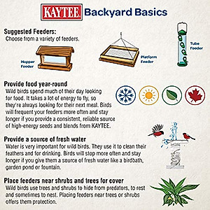 Kaytee Nut and Fruit Blend, 20-Pound