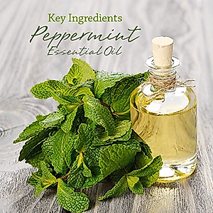 I & Candle Aromatherapy Soy Wax Scented Candles (Rosemary & Mint)