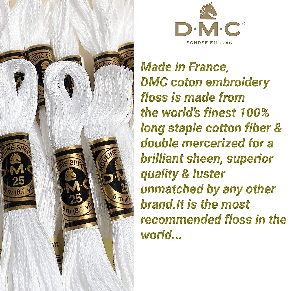 DMC White Embroidery Floss Kit, 6 Strand 117- Blanc CottonThread 12/ Pack Bundle with 1Skein of Each DMC Ecru/Snow White and DMC Cross Stitch Needles.Premium String/Yarn.Friendship Bracelet Supplies