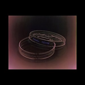 Pyrex 3160-60 Brand 3160 Petri Dish; 60 x 15 mm, Glass (Pack of 12)