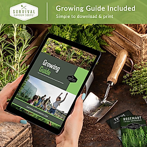 Survival Garden Seeds Zucchini & Squash Collection Seed Vault - Non-GMO Heirloom Seeds for Planting Vegetables - Assortment of Golden, Round, Grey, Black Beauty Zucchinis, Straight Neck Summer Squash