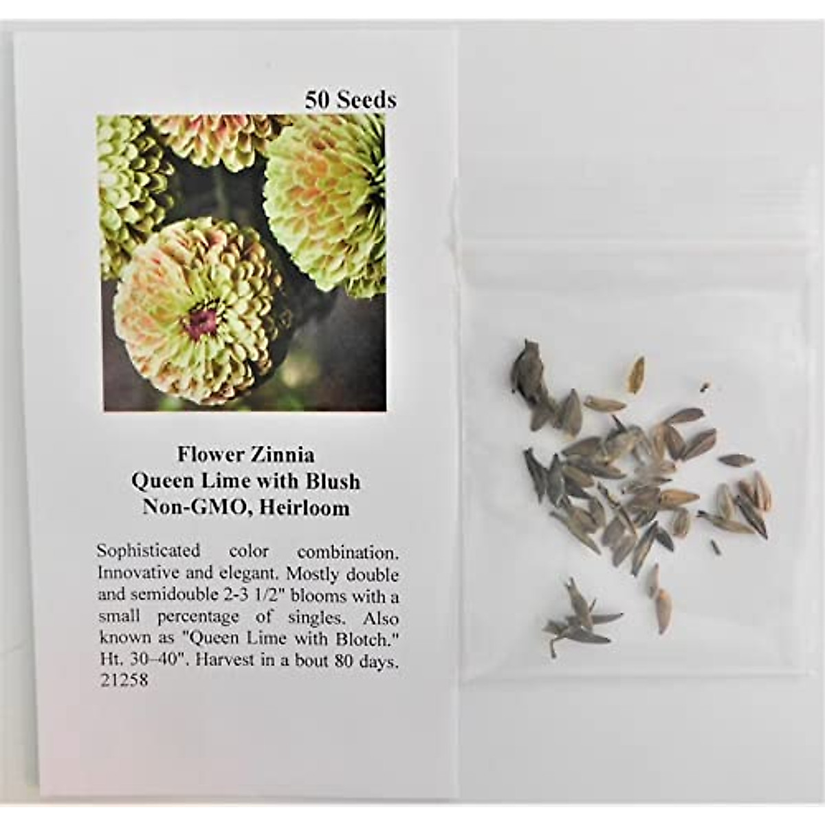 David's Garden Seeds Flower Zinnia Queeny Lime with Blush 4357 (Multi) 50 Non-GMO, Heirloom Seeds