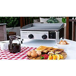 Megamaster 820-0054F Propane Gas Grill, Silver and Black