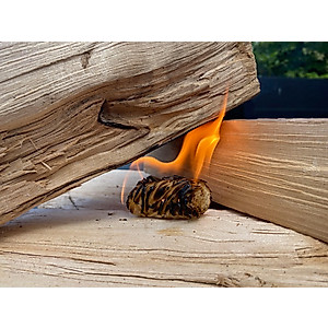 Wood Wool Fire Starter 50 Pack – Long Burn Time Up to 10 Minutes, Ideal Fire Starters for Campfires and Charcoal Starter – Made from Wood and Wax