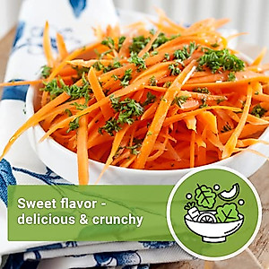 Sow Right Seeds - Imperator Carrot Seed for Planting - Non-GMO Heirloom Packet with Instructions to Plant a Home Vegetable Garden, Great Gardening Gift (4)