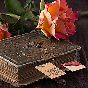 cobee Vintage Paper Bookmarks, 30 Pieces Classic Reading Bookmarks Aesthetics Book Markers for Book Lovers Gift for Women Men Teachers Students Friends(A)