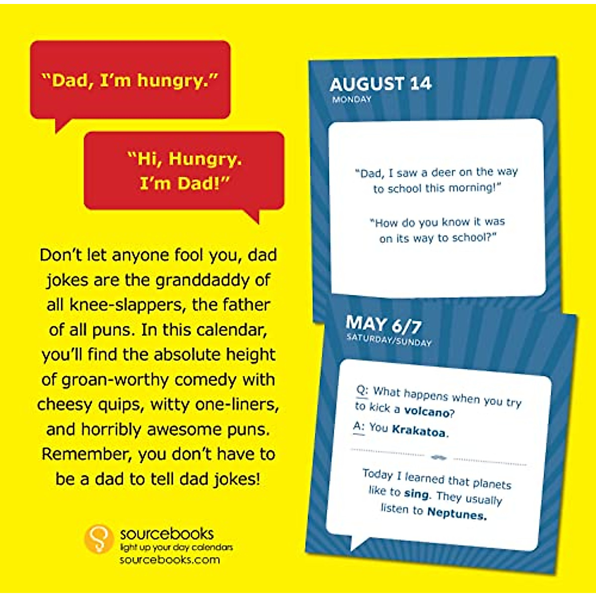 2023 Dad Jokes Boxed Calendar: 365 Days of Punbelievable Jokes (Daily Joke Calendar for Him, Desk Gift for Her)