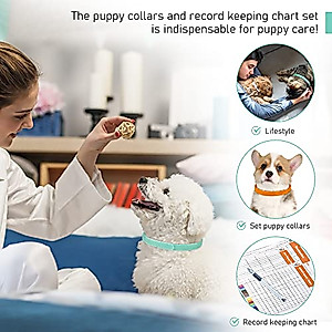 GAMUDA 15 Newborn Puppy Collars – 6 Record Keeping Charts – Super Soft Nylon Whelping Puppy Collars - Adjustable Litter Collars for Pups – Assorted Colors & Identification Collars