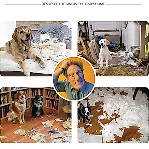 Lotus.Flower Dog Toys - Yellow Plush Squeaky Duck Toys Pet Supplies for Small, Medium and Large Dogs (Yellow)