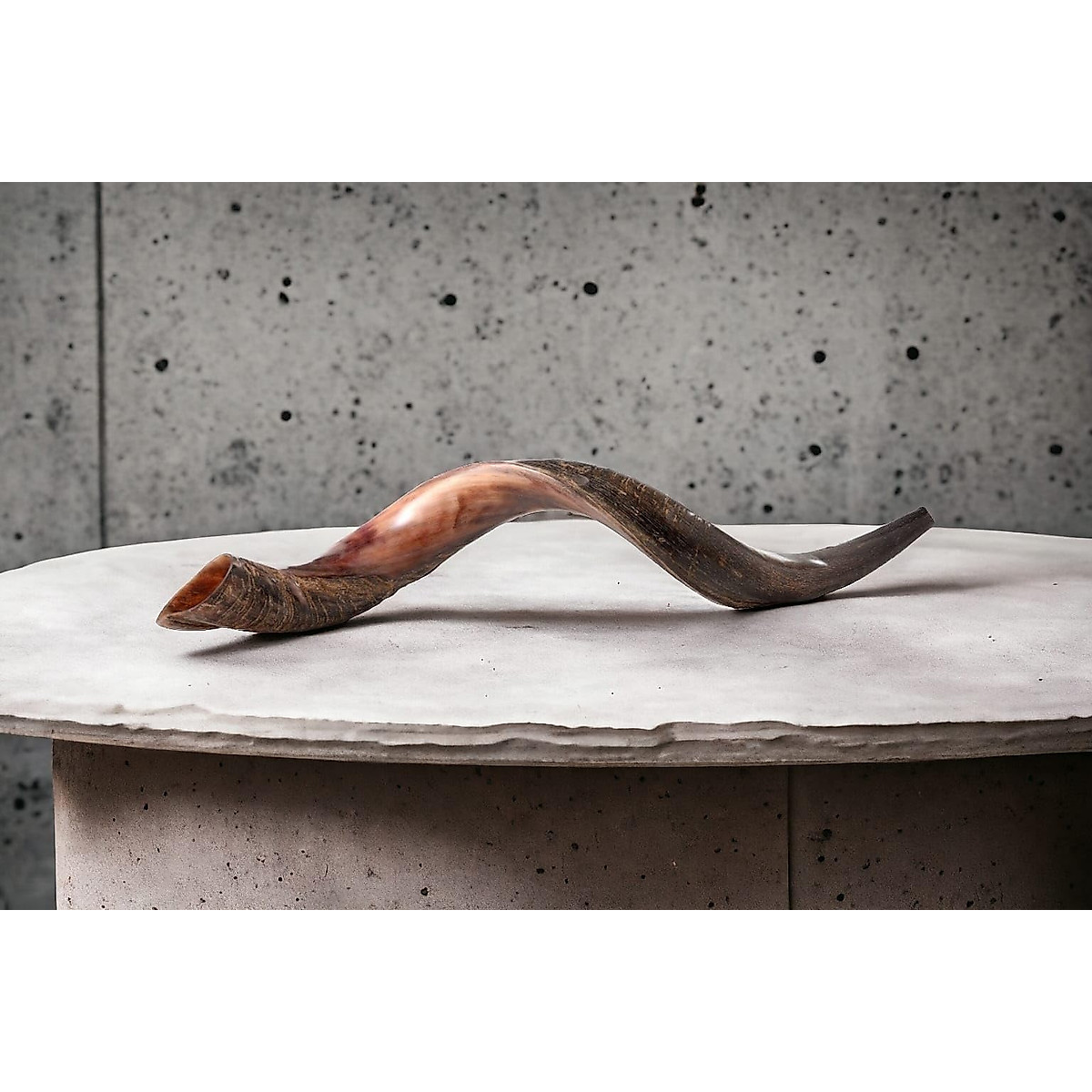 40"- 42" Extra Large Yemenite Kudu Horn Half Polished Finish and Half Natural Shofar, with Free Anti Odor Spray and Bag, Made in Israel