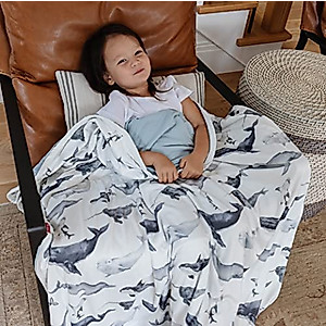 Pobi Baby Premium Baby Blanket, Soft Stretchy Quilt for Babies, Toddlers, Kids (Seaside)