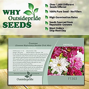 Outsidepride Cosmos Bipannutus Double Click Garden & Cut Flower Seed Mix - 100 Seeds