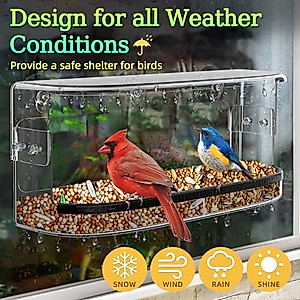Ermete Window Bird Feeder With Strong Suction Cups, Large View Clear Feeder, Seed Tray, 13in x 5.5in x 4.2in for Outside