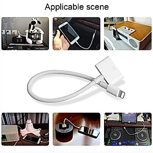 Lightning to 30-Pin Adapter, iPhone 8 Pin Male to 30 Pin Charger ipad Connector Adapter Data Sync Cable Connector Compatible iPhone 14/13/12/11/X/8/iPad/Bluetooth (White)