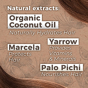 Tio Nacho Ultra Hydration Shampoo with Coconut Oil & Royal Jelly, Hydrating & Nourishing for Dry, Damaged Hair, Fights Frizz & Protects from Breakage, 14 Fluid Ounces