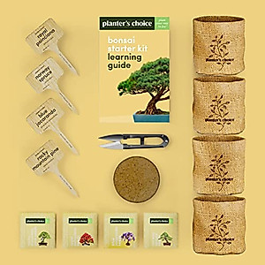 Bonsai Starter Kit - Gardening Gift for Women & Men - Bonsai Tree Growing Garden Crafts Hobby Kits for Adults, Unique DIY Hobbies for Plant Lovers - Unusual Christmas Gifts Ideas, or Gardener Mother