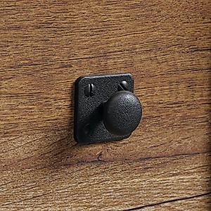 Sauder Palladia File Cabinet, Vintage Oak finish