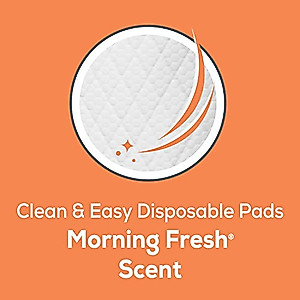 Purina Tidy Cats Breeze Litter System Cat Pad Refills, Breeze Morning Fresh Scent 10ct. Refill Pack - 10 Count (Pack of 1)