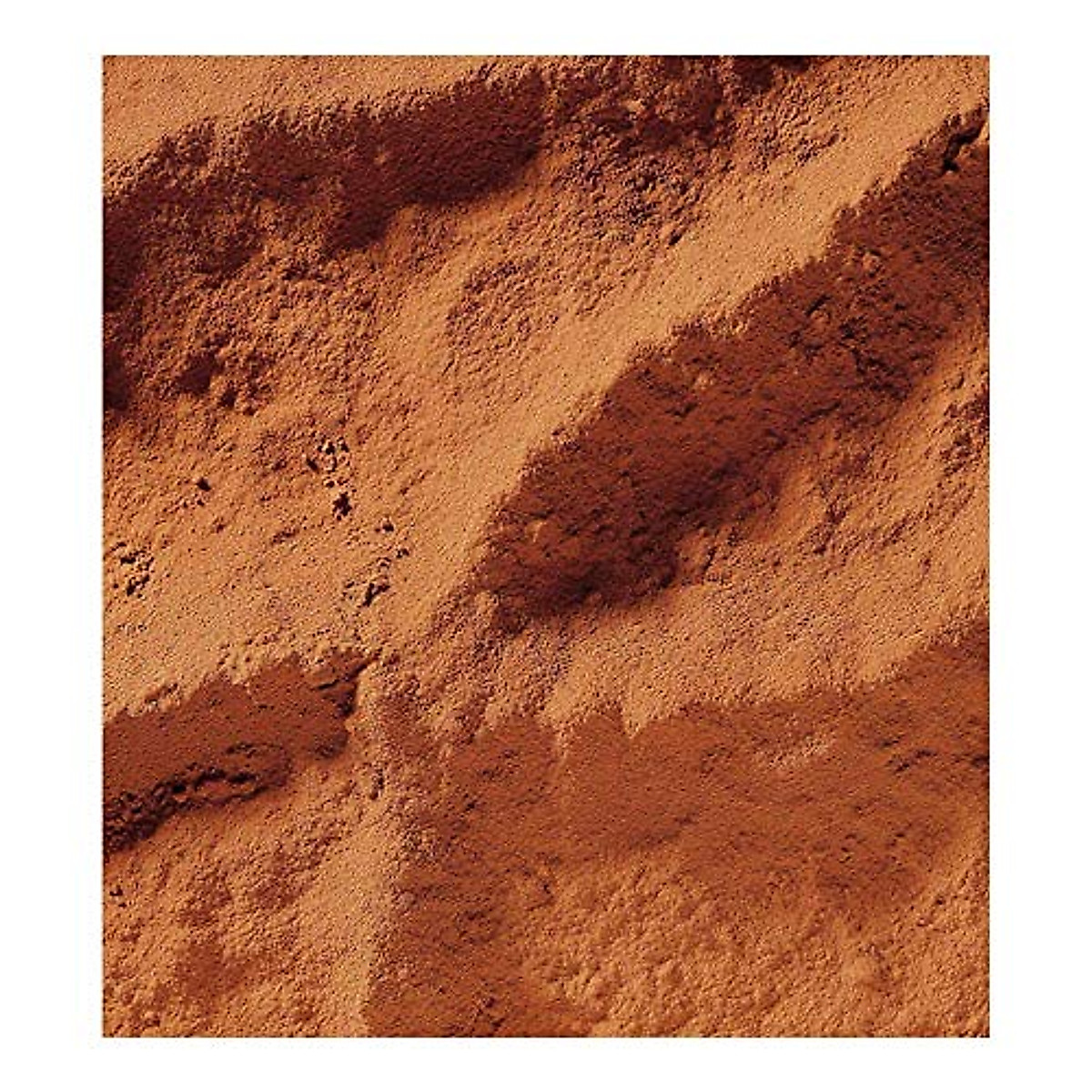 Cacao Barry Cocoa Powder 100% Cocoa Extra Brute, 2.2 lb