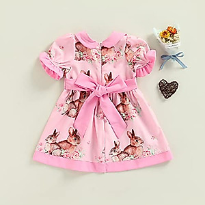 Toddler Baby Girl Bunny Dress Easter Outfit Ruffle Sleeve Peter Pan Collar Princess Dress Cute Easter Clothes (2-3T,Bunny Print)
