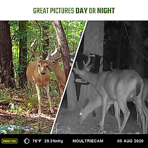 Moultrie Mobile XA-6000 Cellular Trail Camera | AT&T Network, Moultrie Pine Bark (MCG-13479)