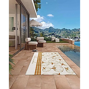 Hello Pumpkin Outdoor Rug for Patio/Deck/Porch, Non-Slip Large Area Rug 6 x 9 Ft, Thanksgiving Orange Plaid Pumpkin Fall Indoor Outdoor Rugs Washable Area Rugs, Reversible Camping Rug Carpet Runner