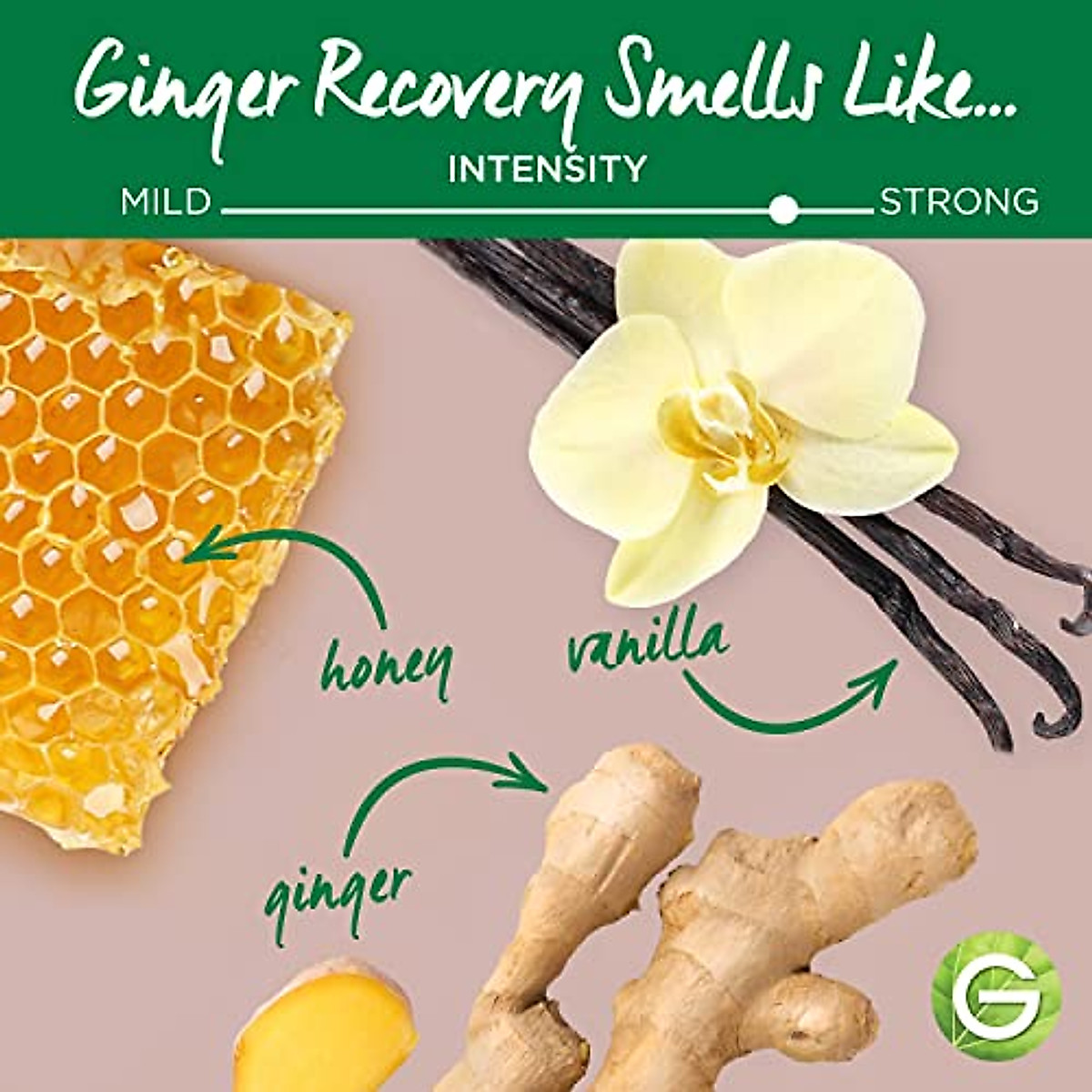 Garnier Haircare Whole Blends Ginger Recovery Strengthening Shampoo Bar for Weak Hair, Zero Plastic Packaging, Free of Preservatives, Silicones, Soap & Dye, with Ginger & Almond Oil, 2 Oz