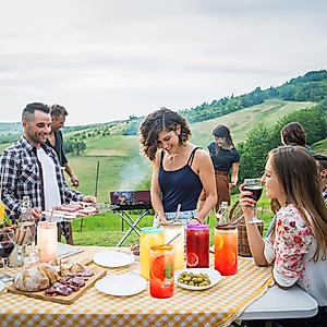 HuaQi Glass Cups with Lids and Straws 6pcs Set, Beer Glasses with Silicone Lids and Metal Straw