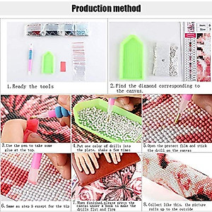 5D Diamond Painting Kits for Adults and Kids, Rhinestone Diamond Arts Kits for Beginners ， DIY 5D Diamond Painting Used for Home Wall Decor Gift Moon Butterfly (14X18 inch)